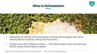 Amazon Rainforest Deforestation | PPTX