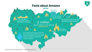 Amazon Rainforest Deforestation | PPTX