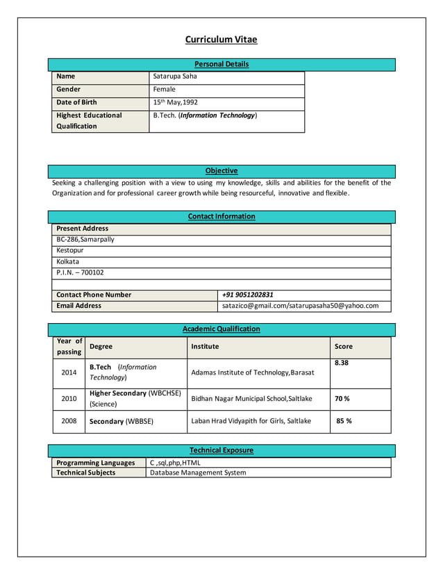Curriculum Vitae | DOCX | Databases | Computer Software and Applications