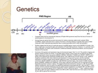 Prader Willi Syndrome ppt1 | PPT