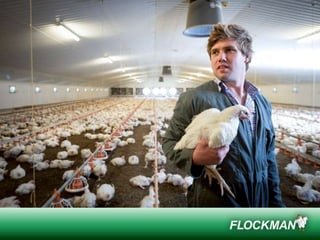 FLOCKMAN Background, Benefits and Results | PPTX