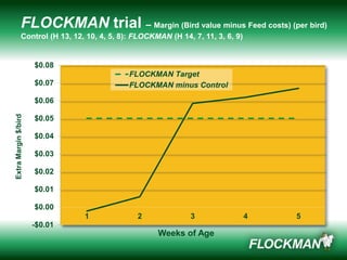 FLOCKMAN Background, Benefits and Results | PPTX