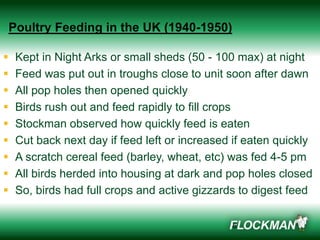 FLOCKMAN Background, Benefits and Results | PPTX