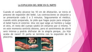 Procesos del embarazo mes a mes | PPT