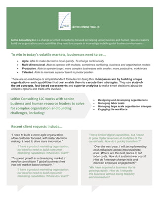 Leitko Consulting LLC Overview (v9) | PDF