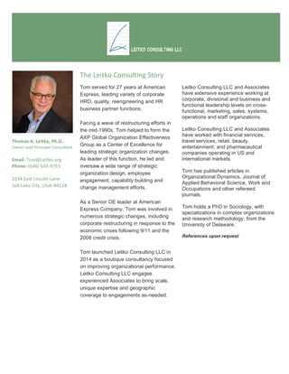 Leitko Consulting LLC Overview (v9) | PDF