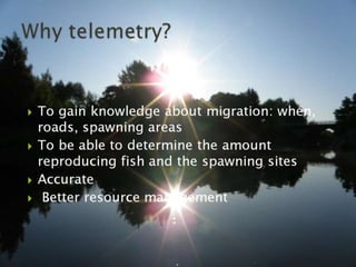 Radiotelemetry presentation | PPT