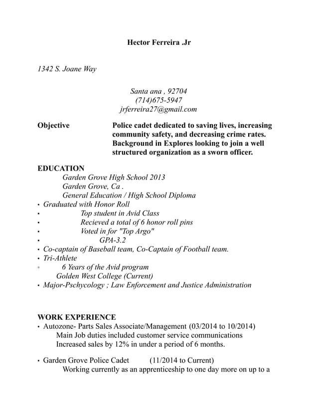 hector ferreira resume | PDF