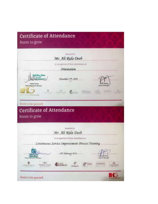 CV Ali Deeb 2017 1 | PDF