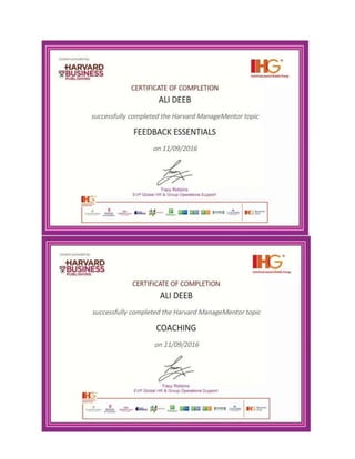 CV Ali Deeb 2017 1 | PDF