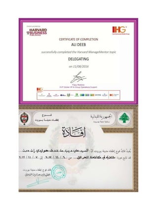 CV Ali Deeb 2017 1 | PDF