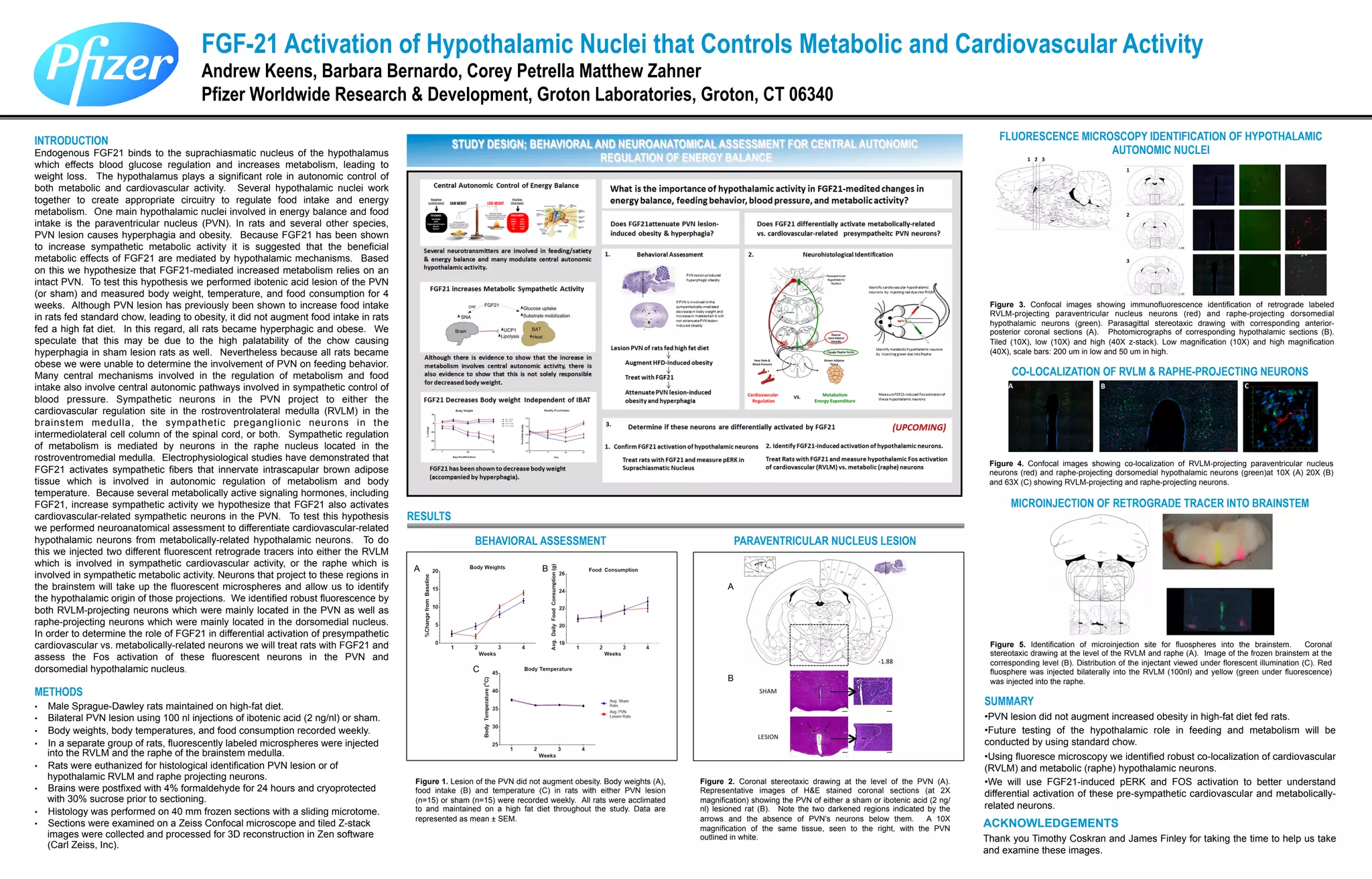 FGF21-FluoRatFinal | PDF
