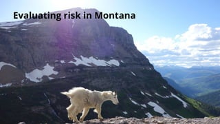 Risk Management Presentation Public | PDF