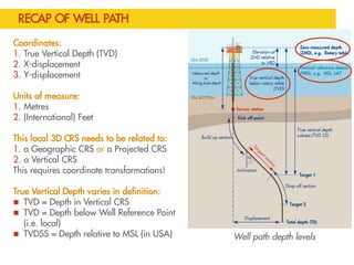 APSG35_Wellbores_and_Vertical_Reference_Levels - Bert Kampes | PDF