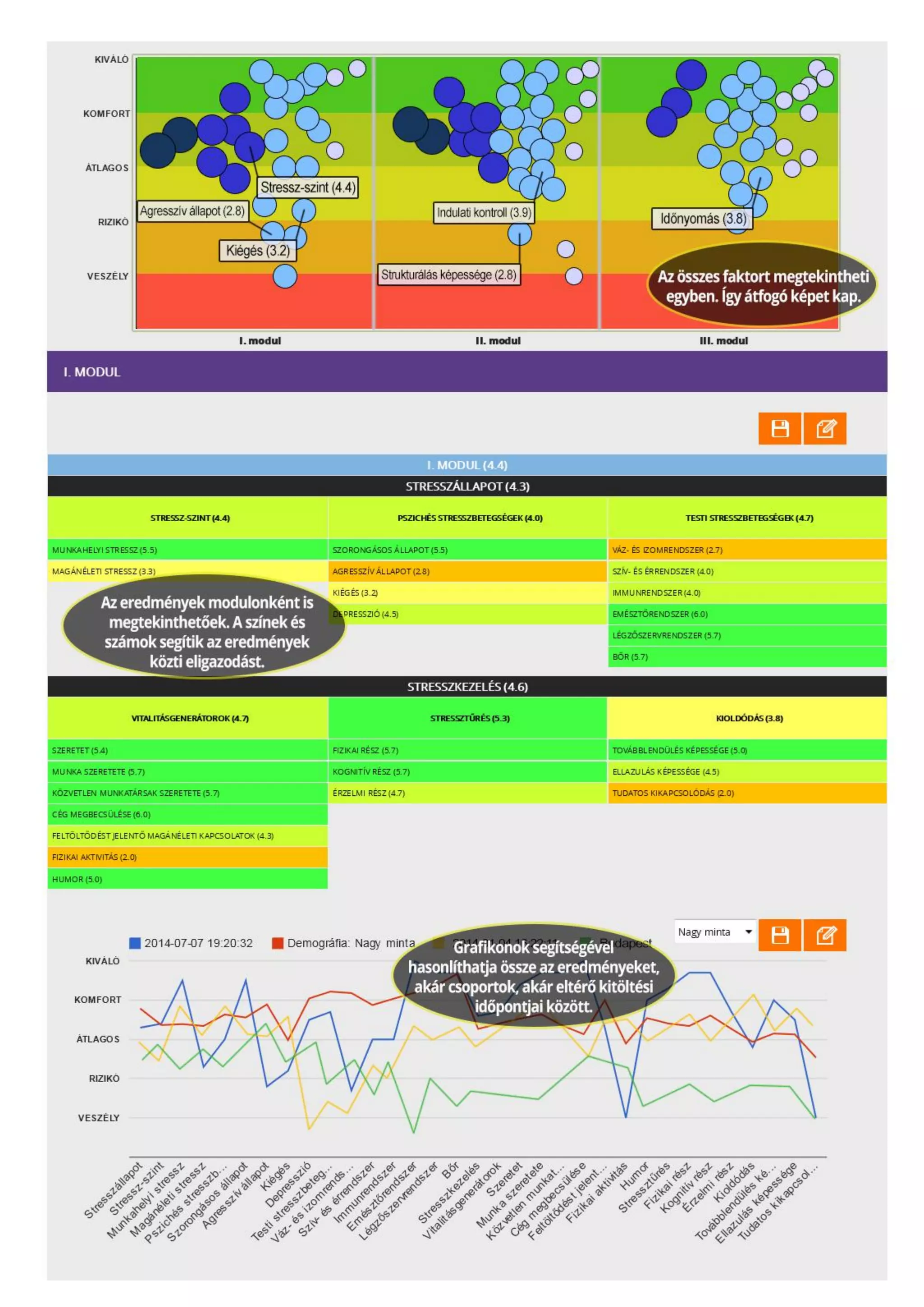Selfmapping - minta | PDF