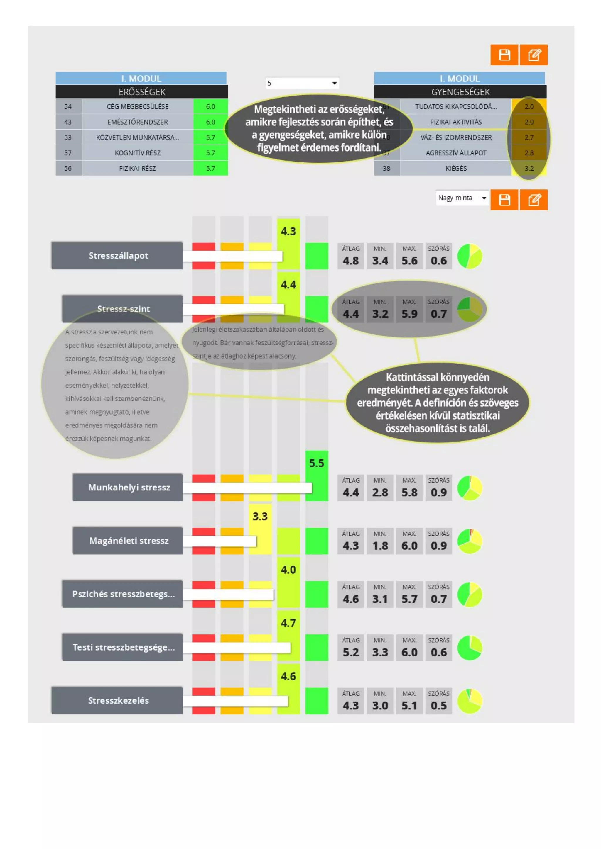 Selfmapping - minta | PDF
