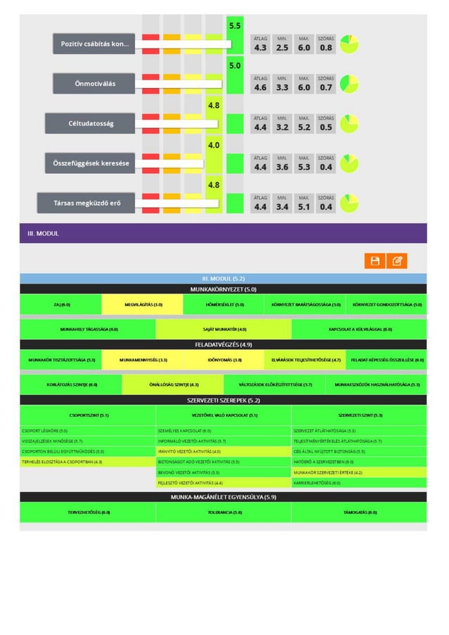 Selfmapping - minta | PDF