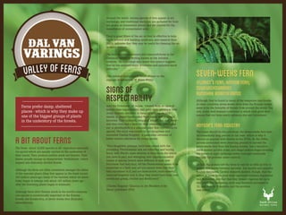 8 Rooted in Time: Dal van Varings | PDF