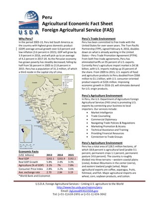 Peru Info Sheet With Services | PDF