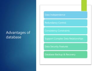 database management system Advantagesa nd Disadvantages.pptx