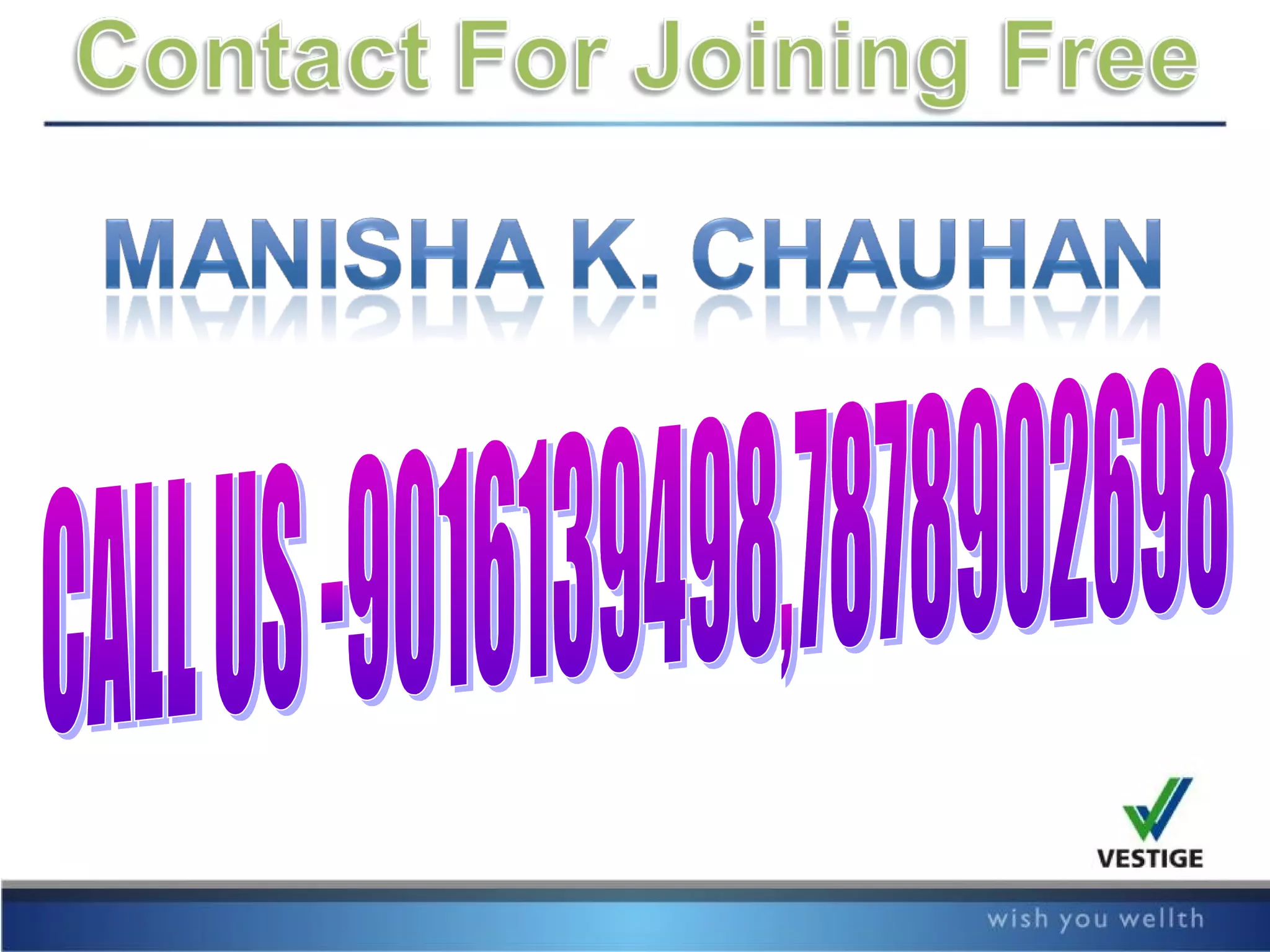 vestige_business_plan | PPT