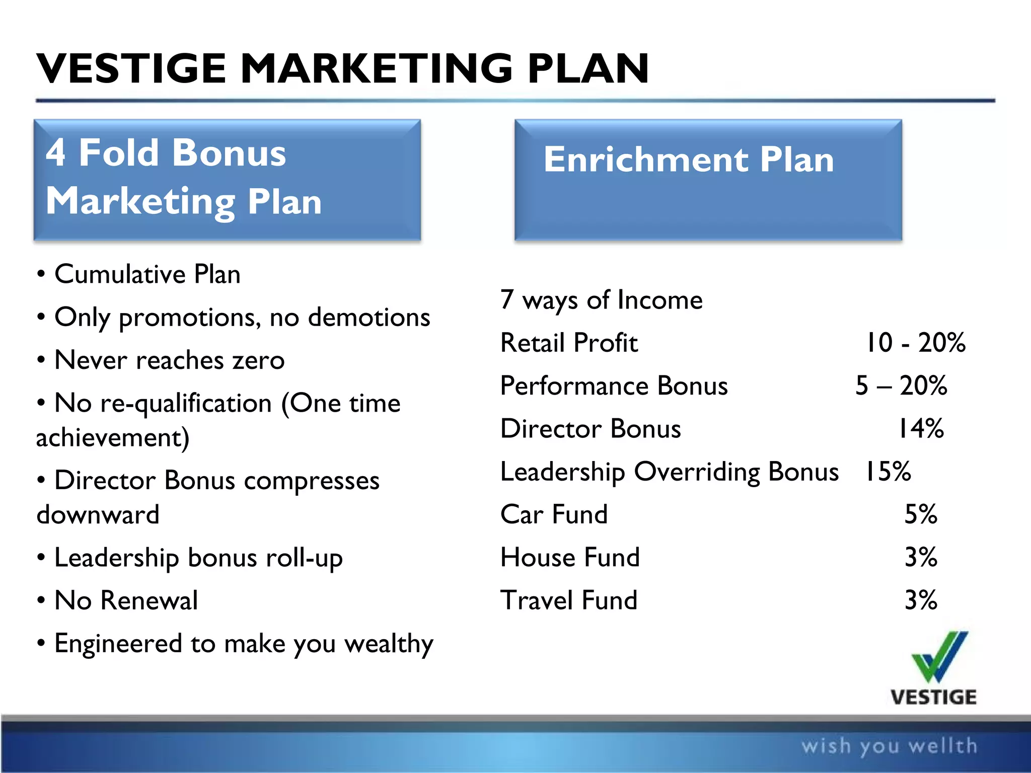 vestige_business_plan | PPT
