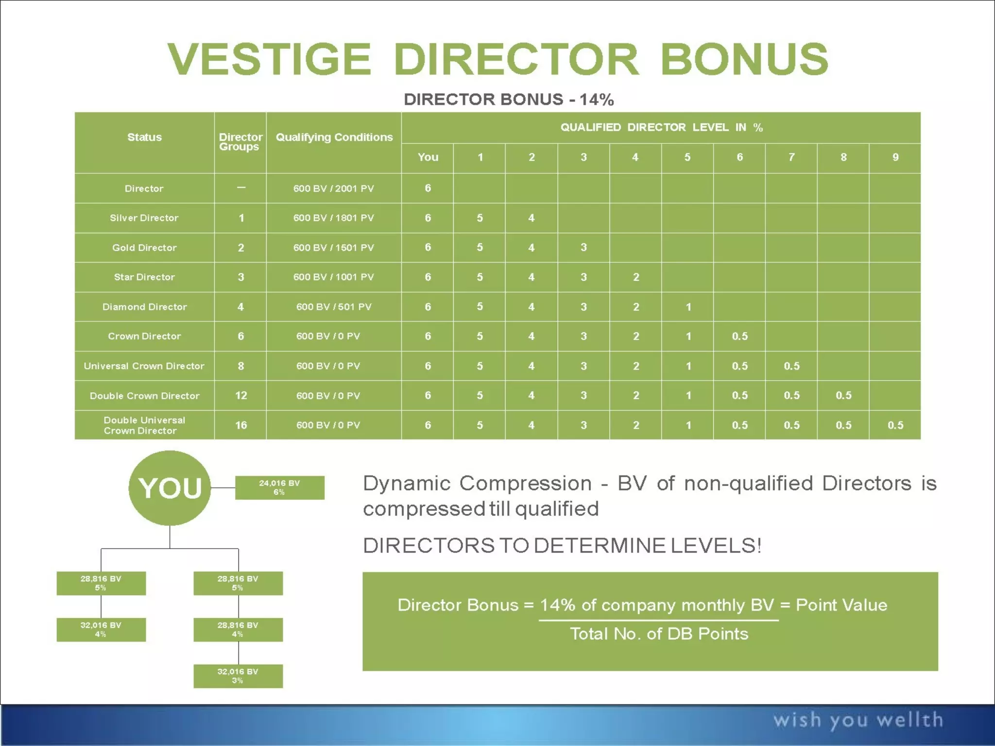 vestige_business_plan | PPT