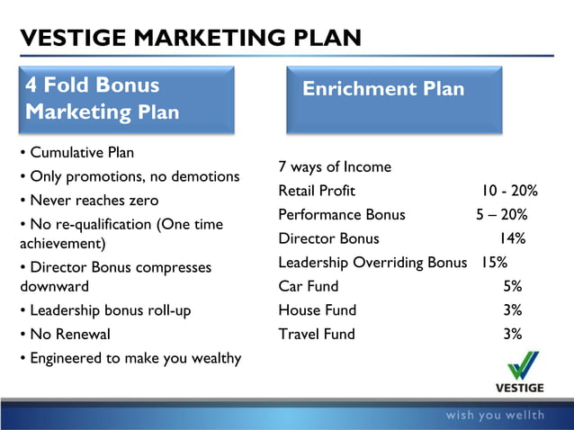 vestige_business_plan | PPT | Business | Business and Finance