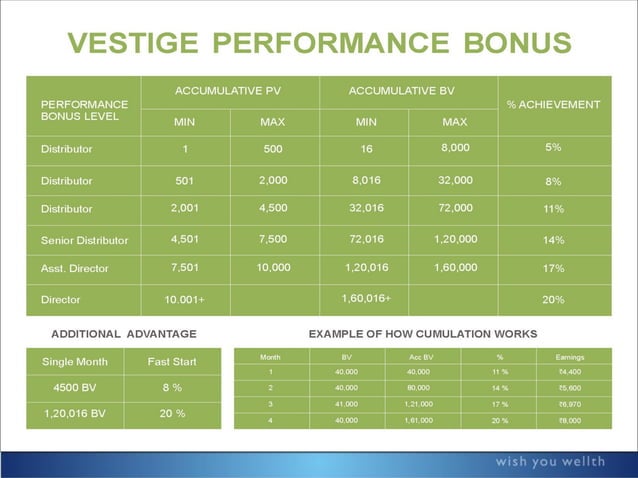 vestige_business_plan | PPT | Business | Business and Finance
