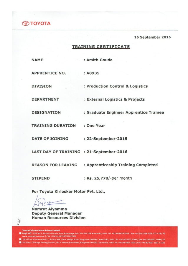 TOYOTA WORK EXPERIENCE | PDF