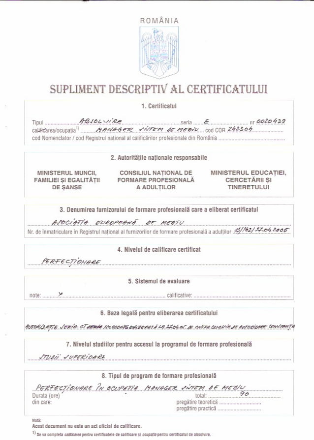 MANAGEMENT MEDIU | PDF