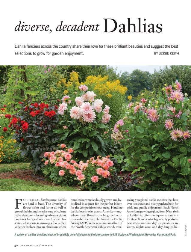 Dahlias TAG J-A12 (2) | PDF