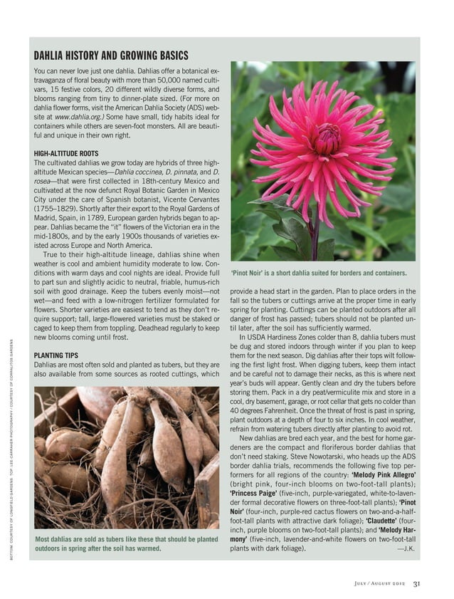 Dahlias TAG J-A12 (2) | PDF