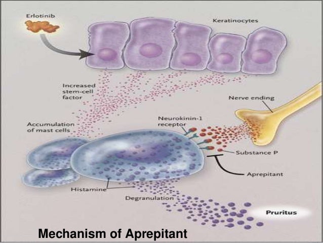 1324608013 BHAKTI SHAH