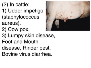 8 dermatology (skin diseases) | PPT