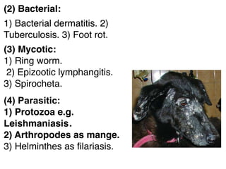 8 dermatology (skin diseases) | PPT