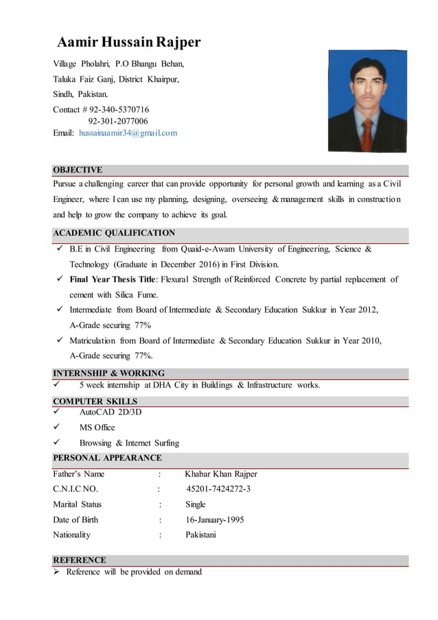 aamir cv | DOCX