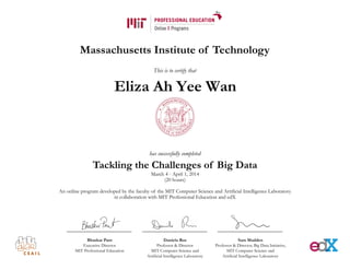 MIT Certificate | PDF