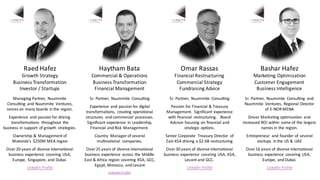 Nuummite Consulting Profile - Sep 2016 Final | PPT
