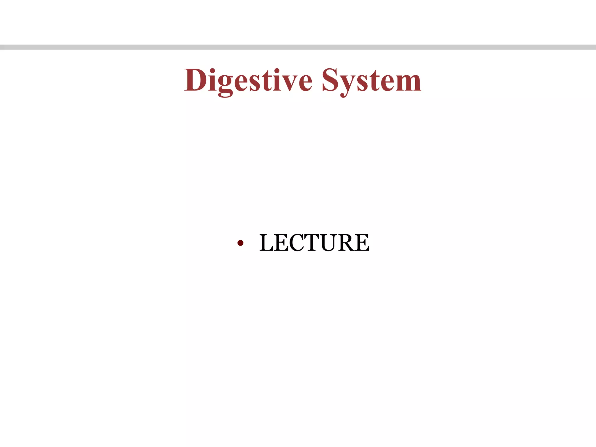 digestives system Physiology | PPT