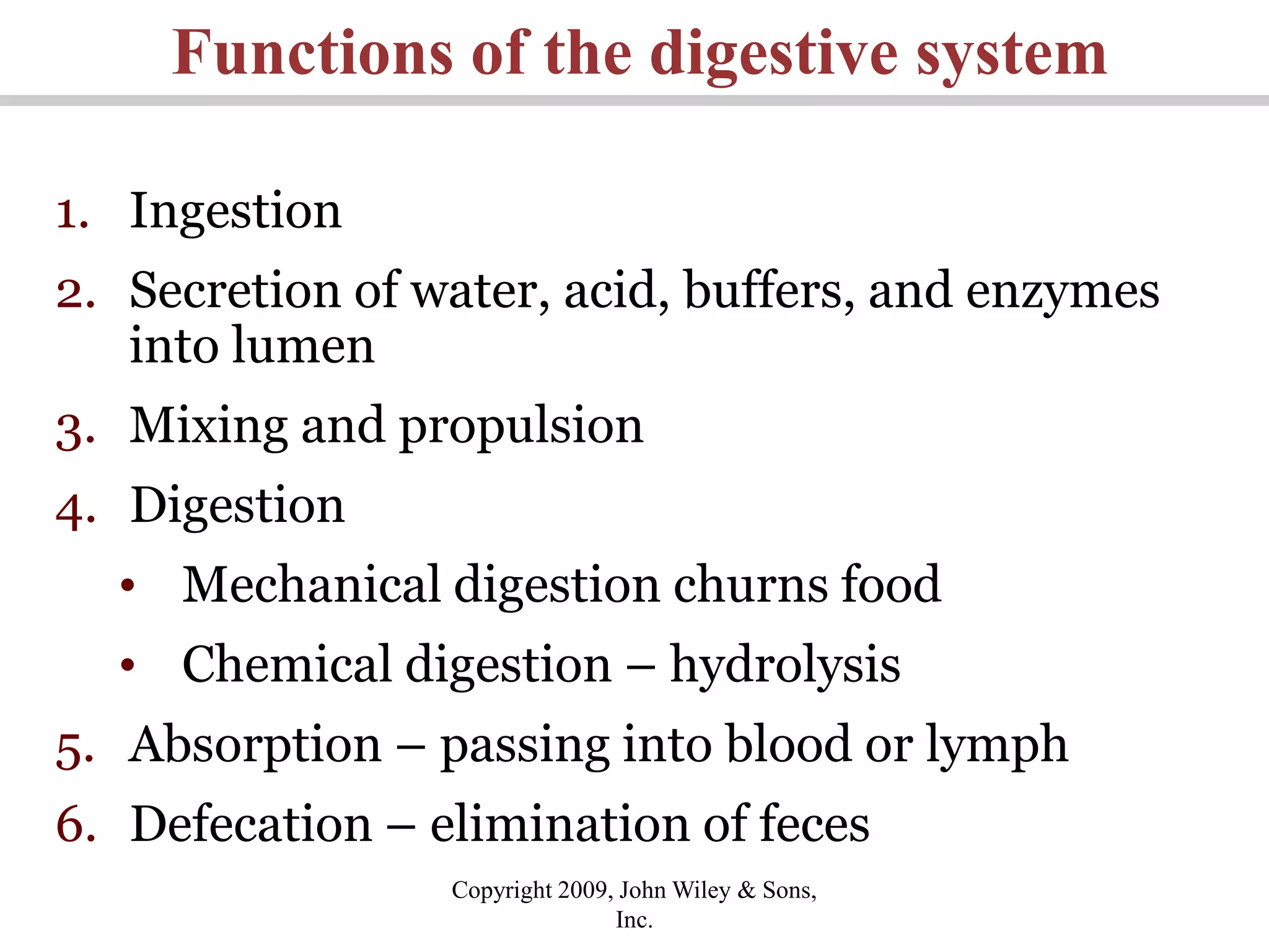 digestives system Physiology | PPT