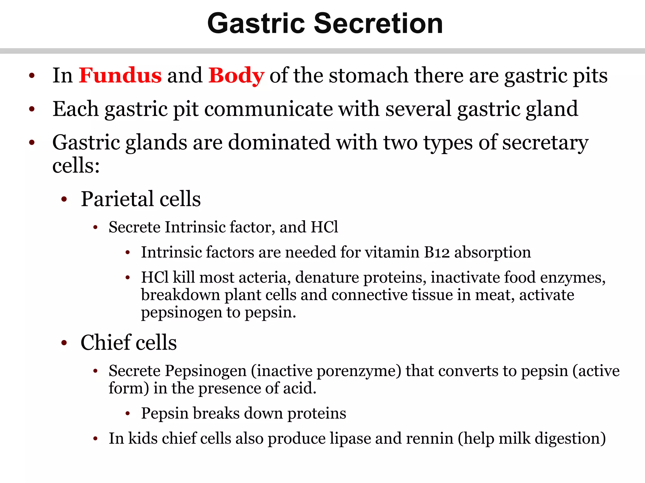 digestives system Physiology | PPT
