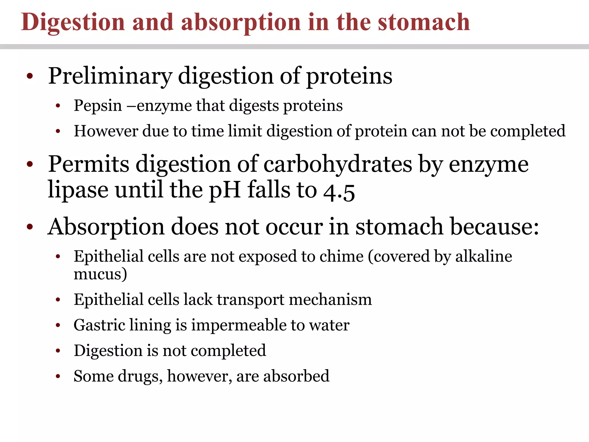digestives system Physiology | PPT