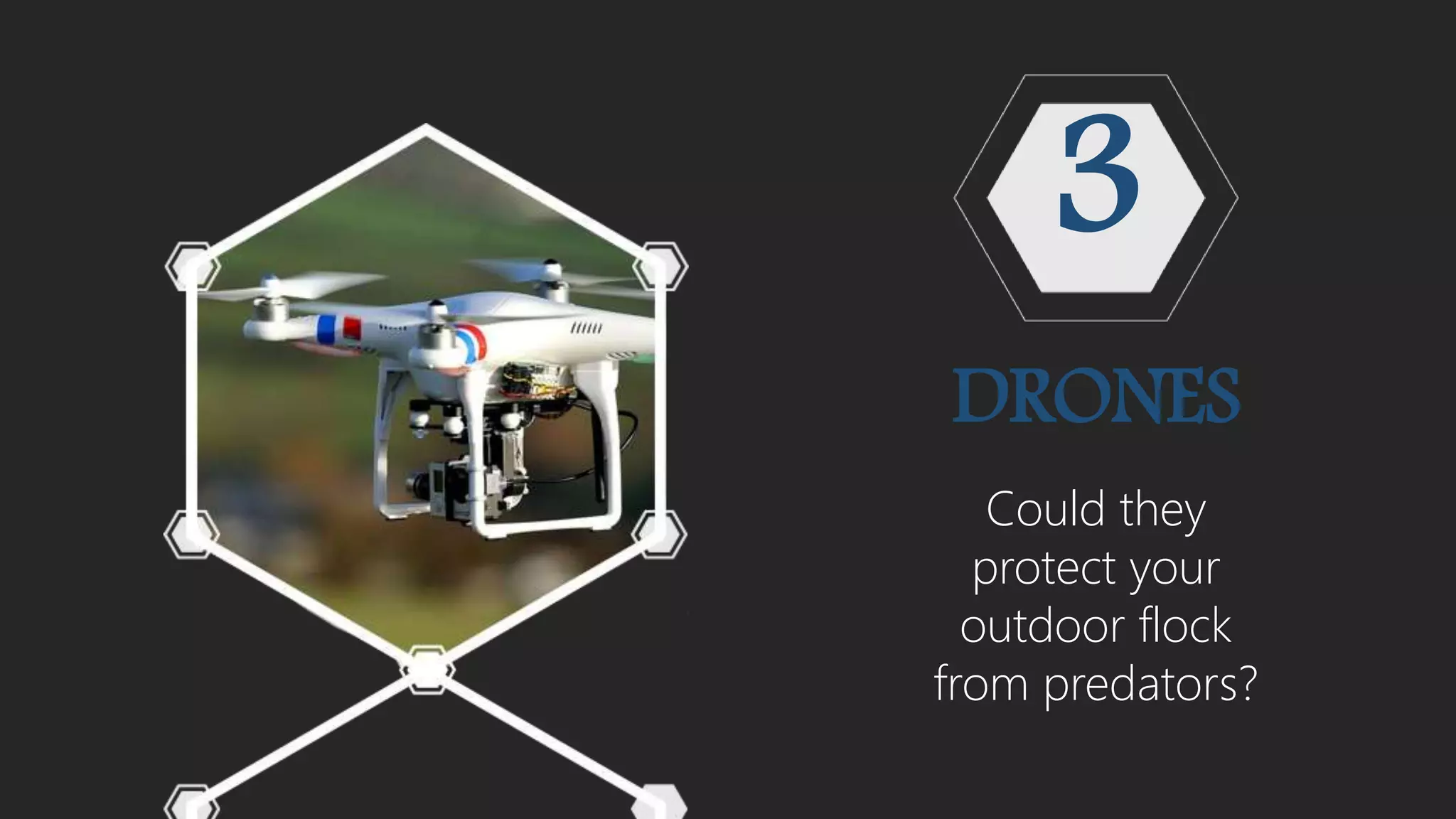 Flocking to digital: The future of poultry technology | PPT