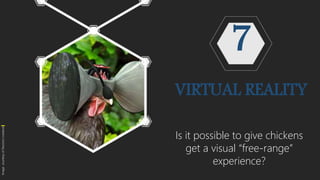 Flocking to digital: The future of poultry technology | PPT