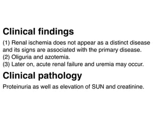 8 diseases of the kidney | PDF