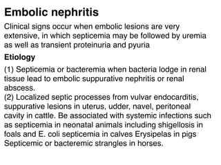 8 diseases of the kidney | PDF