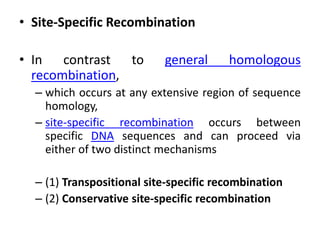 10 DNA replication | PPTX