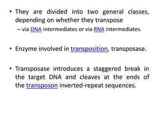 10 DNA replication | PPTX