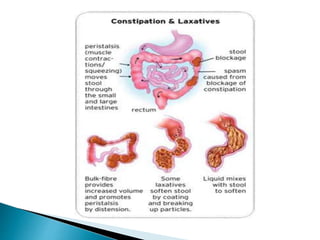 8 Drugs acting on Digestive system.pptx